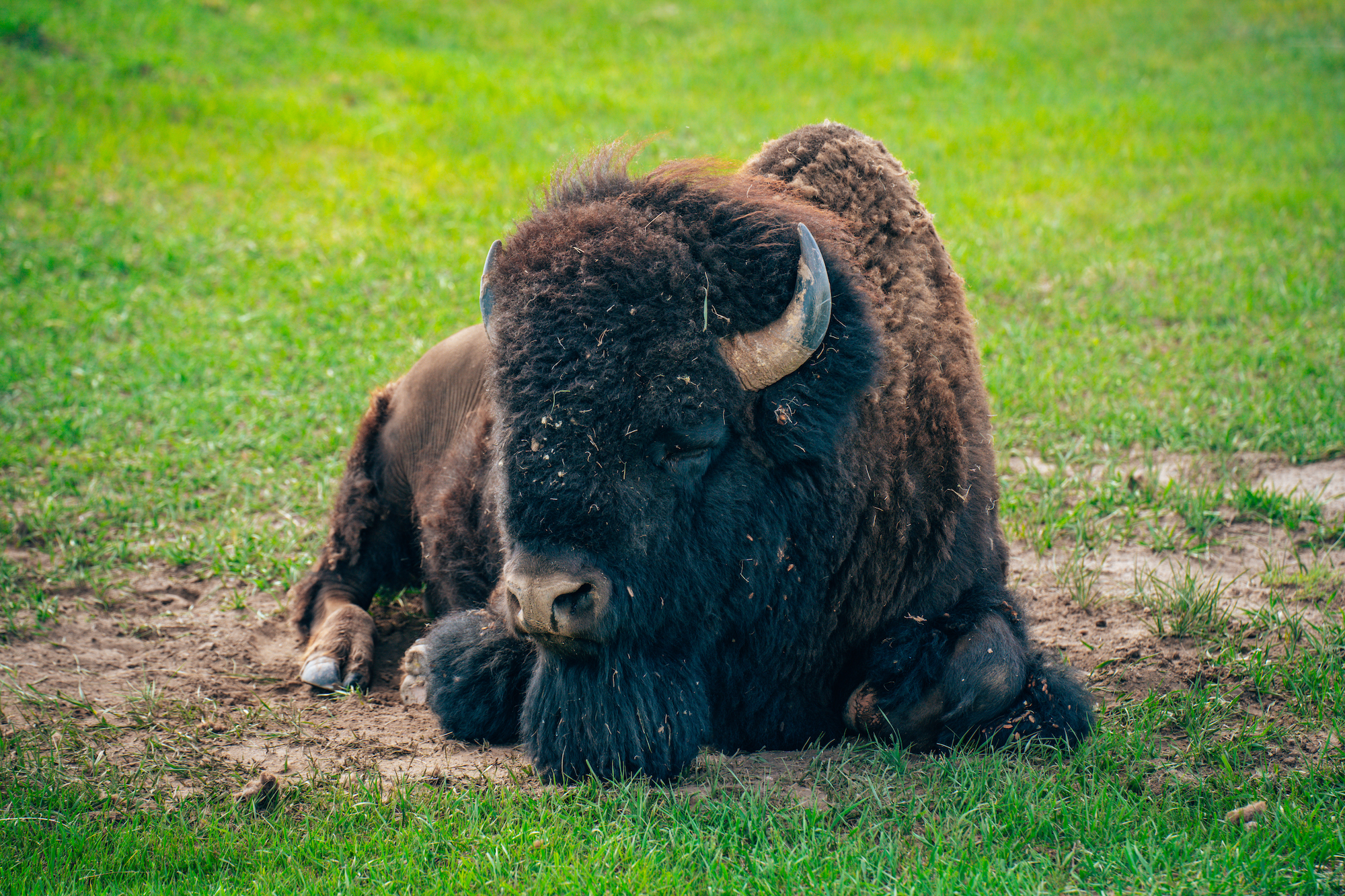 ULTIMATE GUIDE TO WIND CAVE NATIONAL PARK - Smilkos Lens
