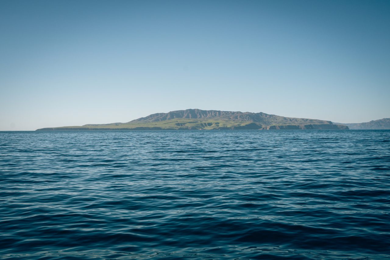 ULTIMATE GUIDE TO CHANNEL ISLANDS NATIONAL PARK (SANTA CRUZ ISLAND ...