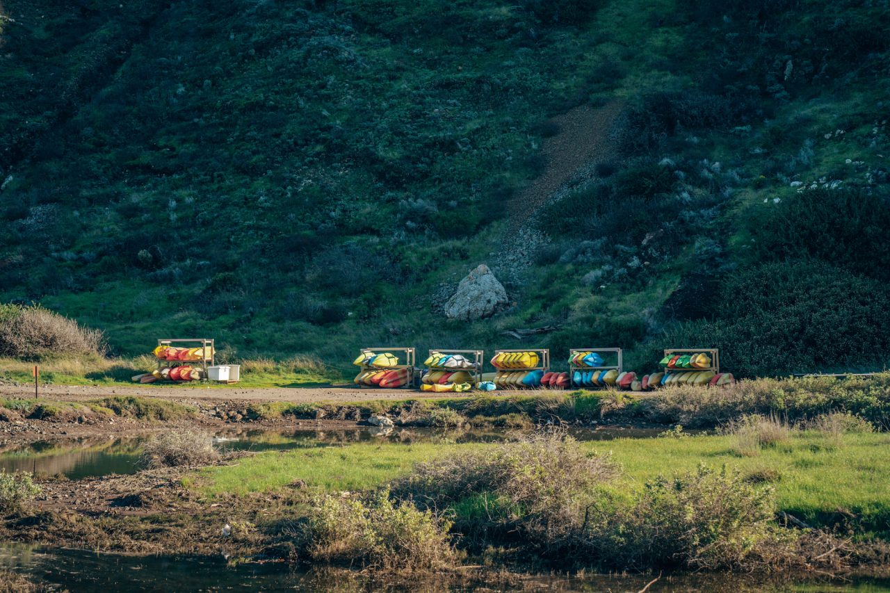 ULTIMATE GUIDE TO CHANNEL ISLANDS NATIONAL PARK (SANTA CRUZ ISLAND ...