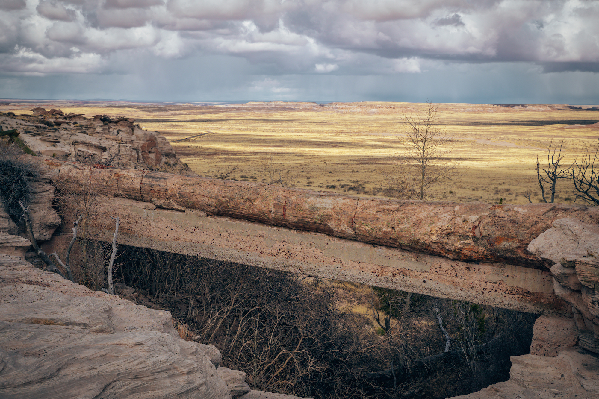 ULTIMATE GUIDE TO PETRIFIED FOREST NATIONAL PARK - Smilkos Lens