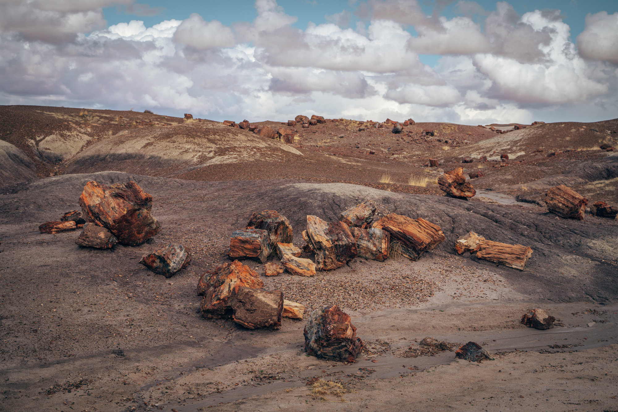 ULTIMATE GUIDE TO PETRIFIED FOREST NATIONAL PARK - Smilkos Lens