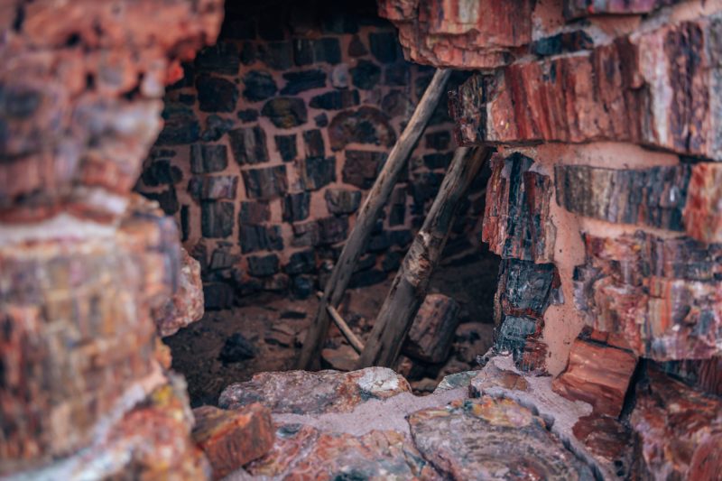 ULTIMATE GUIDE TO PETRIFIED FOREST NATIONAL PARK - Smilkos Lens