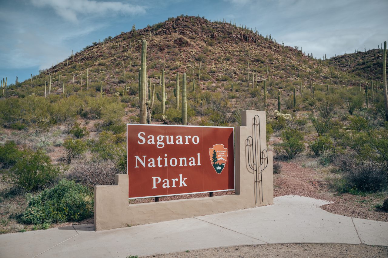 ULTIMATE GUIDE TO SAGUARO NATIONAL PARK - Smilkos Lens