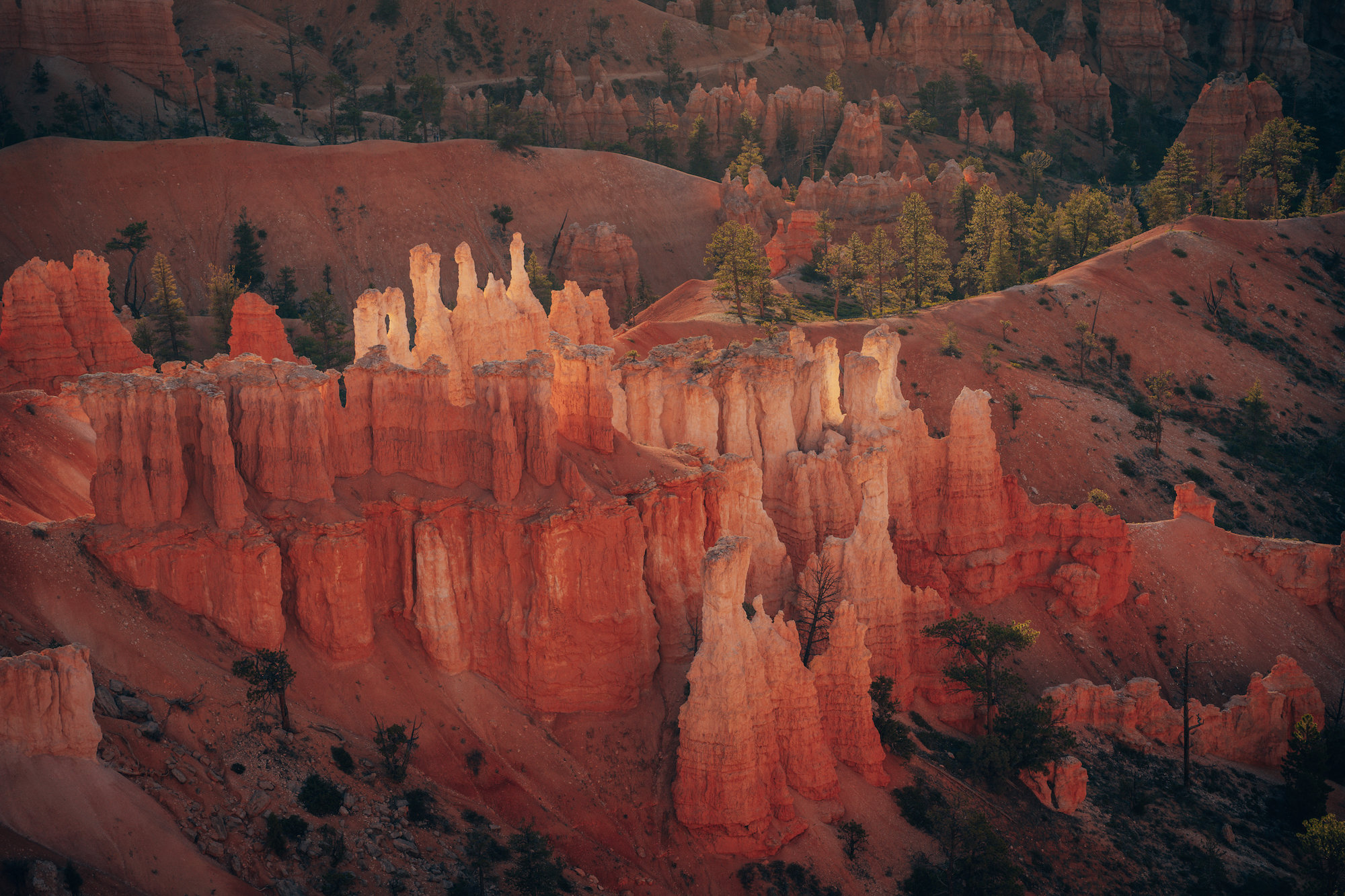 ULTIMATE GUIDE TO BRYCE CANYON NATIONAL PARK - Smilkos Lens